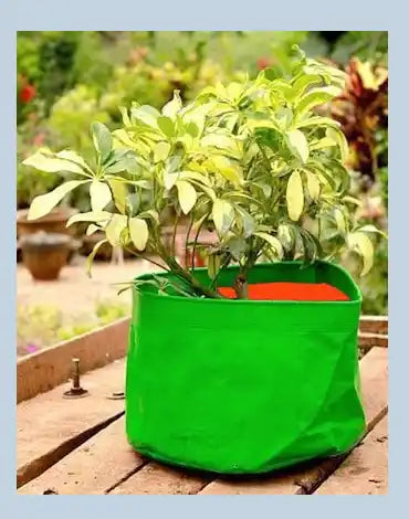 Grow Bags – Sigma Poly Products